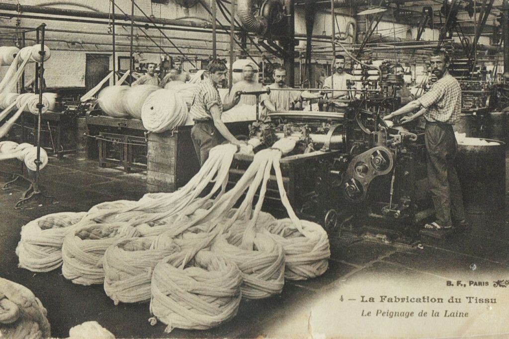 History of Wool | 10000 years of domestication